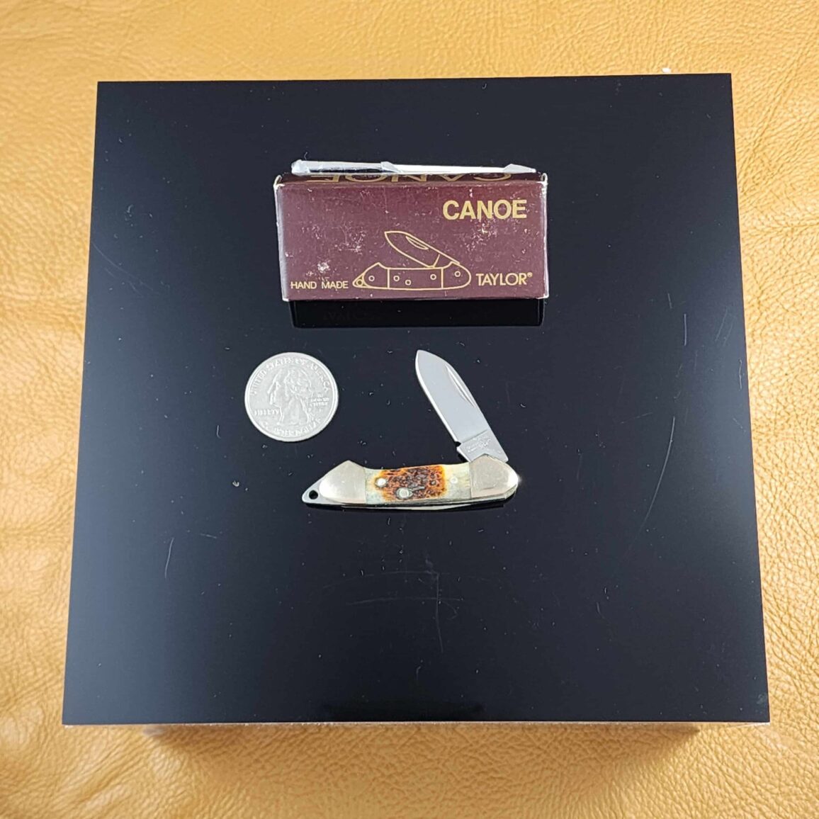 Taylor Cutlery Vintage Baby Canoe 440 SS PAN in Bone For Sale - TSA Knives