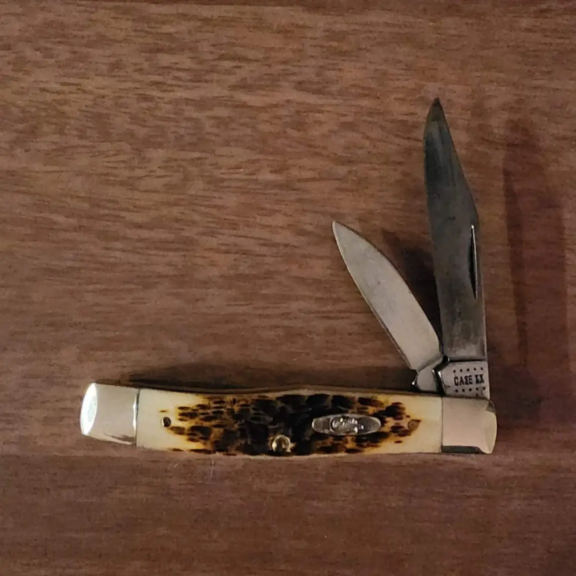 Case 62032 CV Amber Peach Seed Bone Small Texas Jack For Sale - TSA Knives