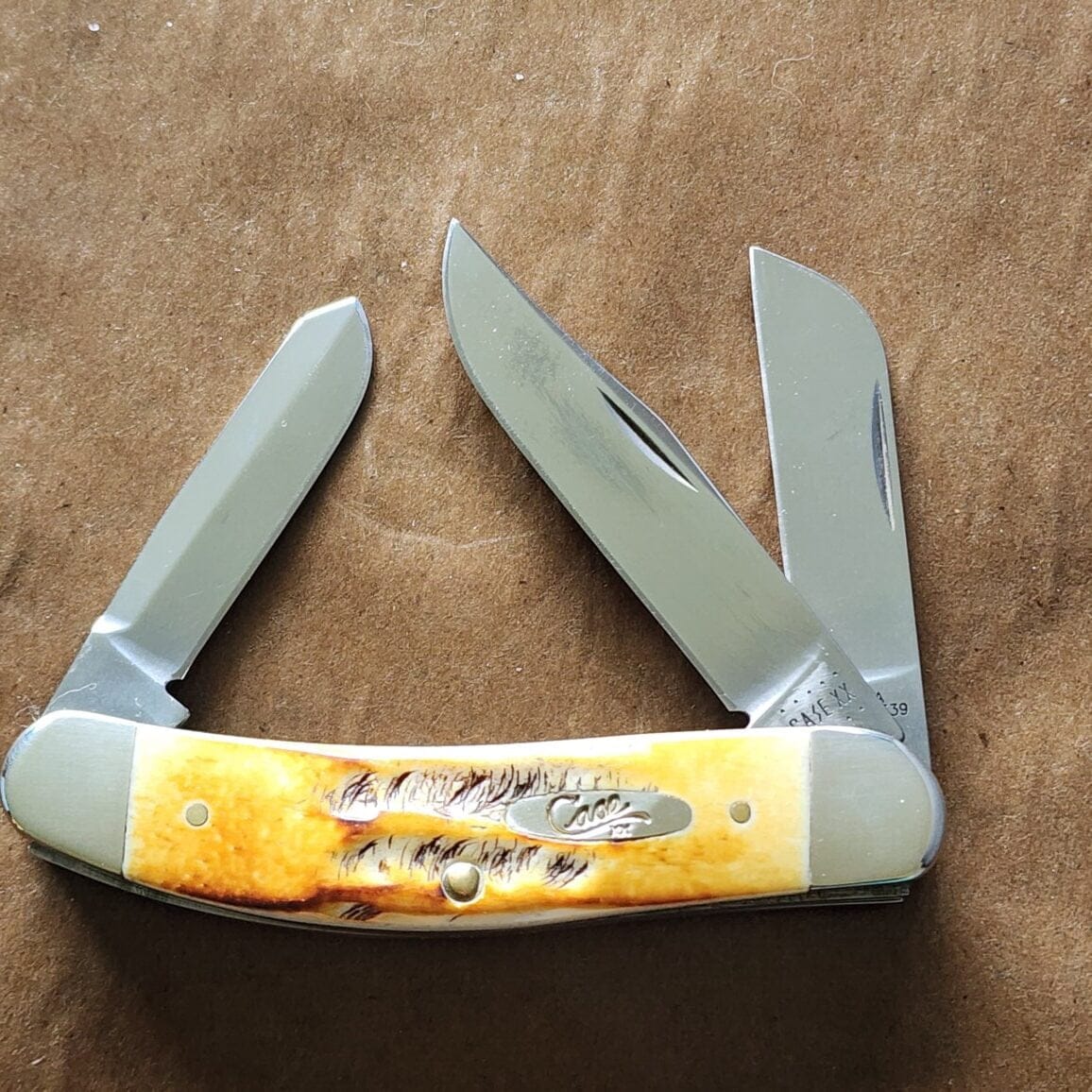 Case XX USA TB6.5339 SS Bone Stag For Sale - TSA Knives